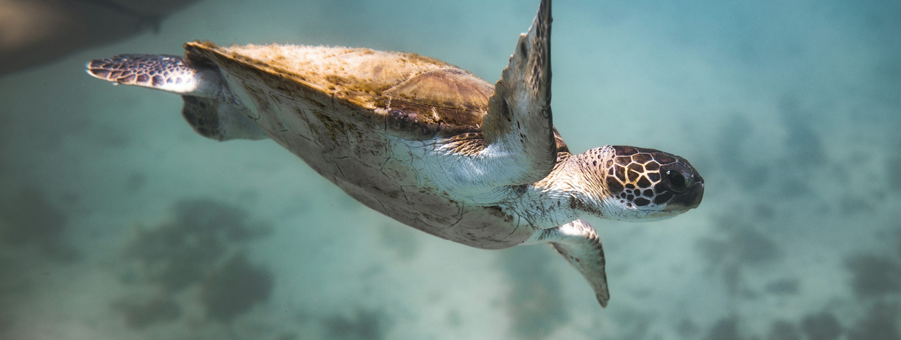 7-Day Seychelles Trip from Mahe to Praslin - Going Places Travel