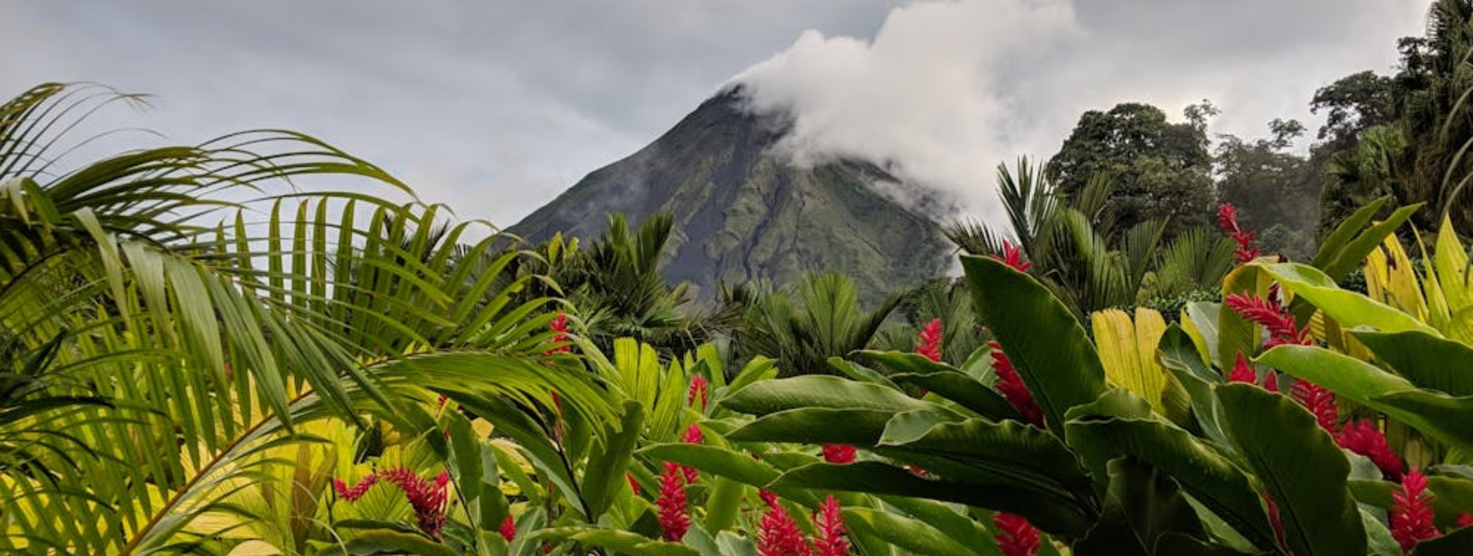 8 Day Costa Rica Tour From San Jose to Liberia - Going Places Travel